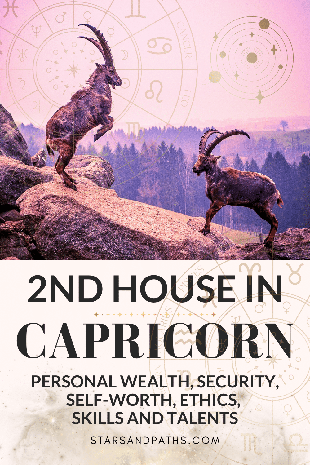 Capricorn in 2nd House: Building Wealth that Lasts